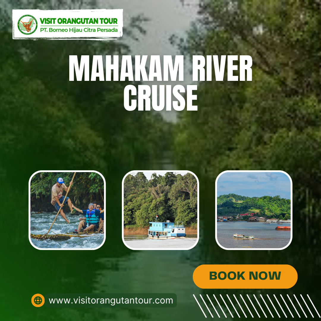 Mahakam River Cruise | Explore Kalimantan's Legendary River